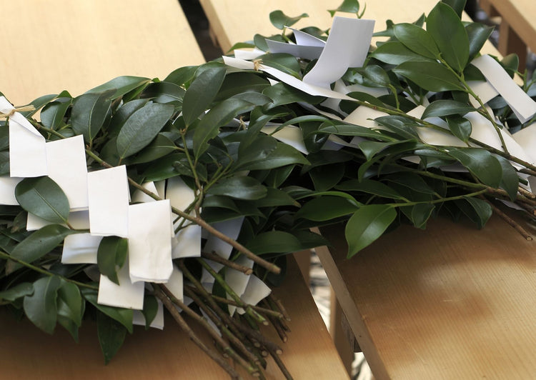 What is sakaki, this plant essential to Shinto rituals? | 供TOMO Blog ...